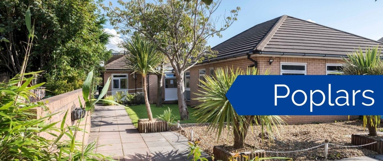 Poplars - New Directions